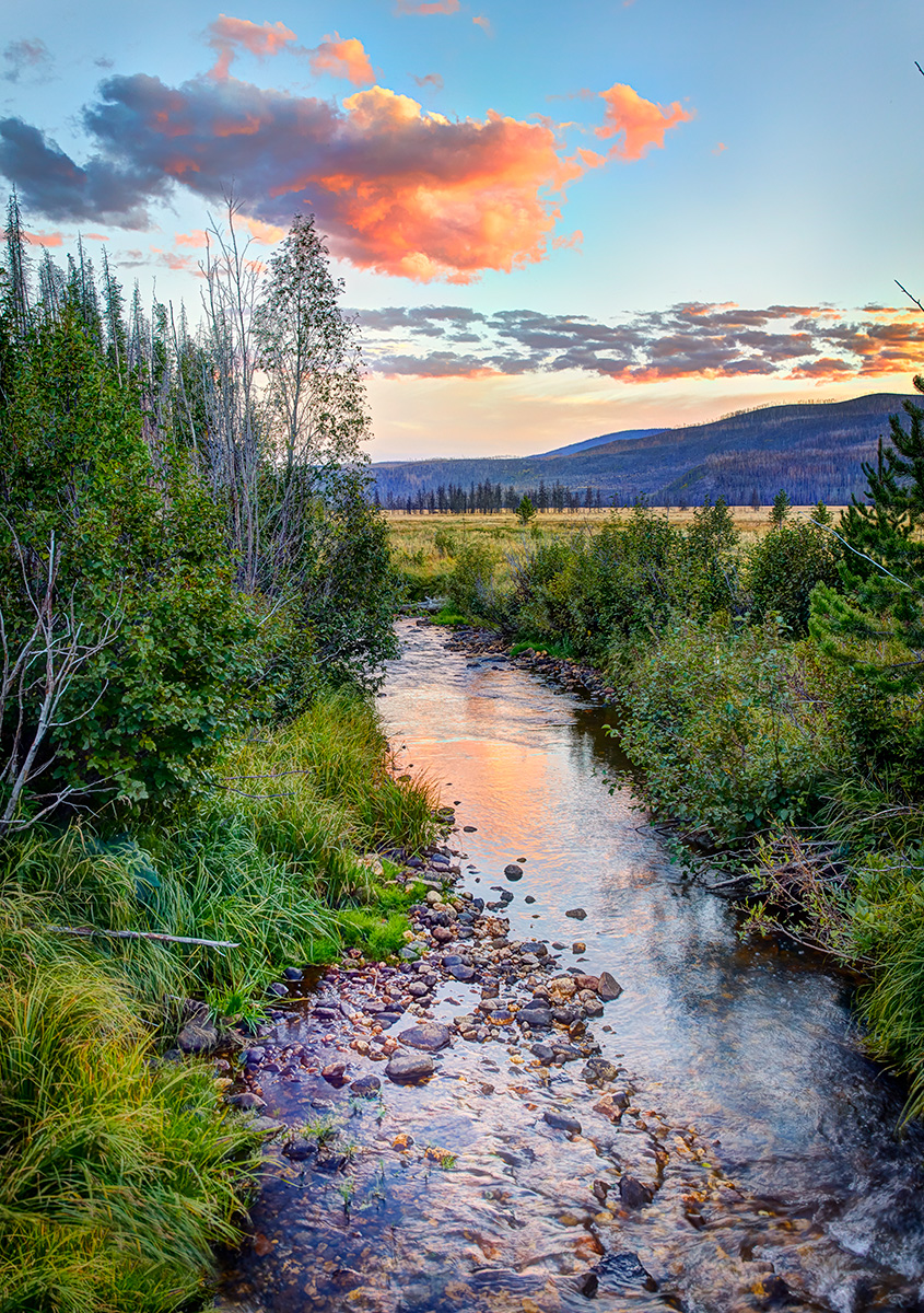 Photo Gallery Of Rick Peters Pictures Of Rick Peters, Picture #84472